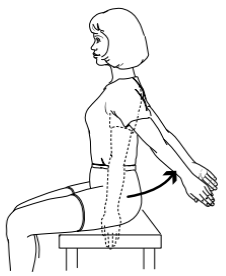 Deltoids 101: An Anatomical Guide to Training : r/Fitness